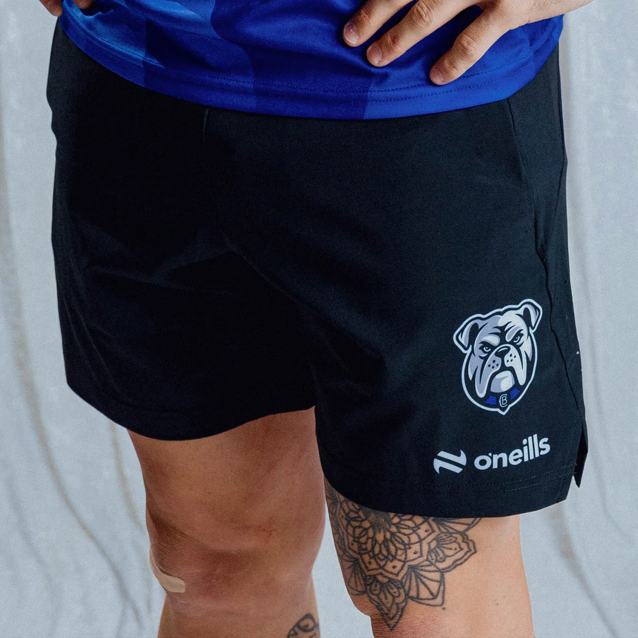 NRL Bulldogs 2026 Training Shorts - Team Rhapsody